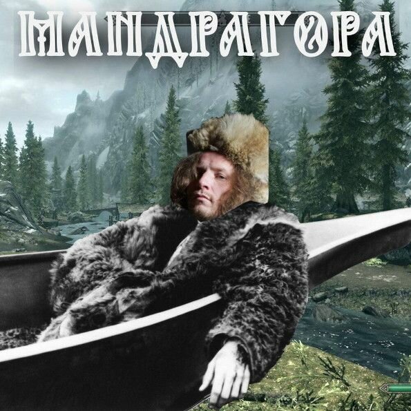 Пластинка виниловая Tajiq "Мандрагора"