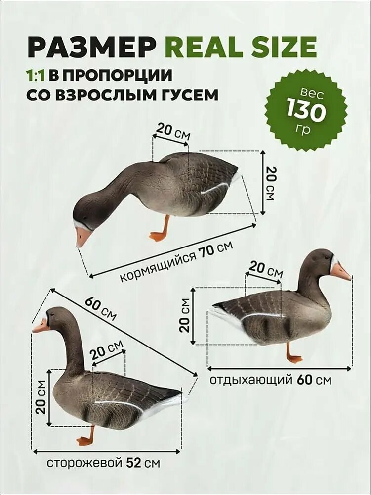 Чучело — фото 1