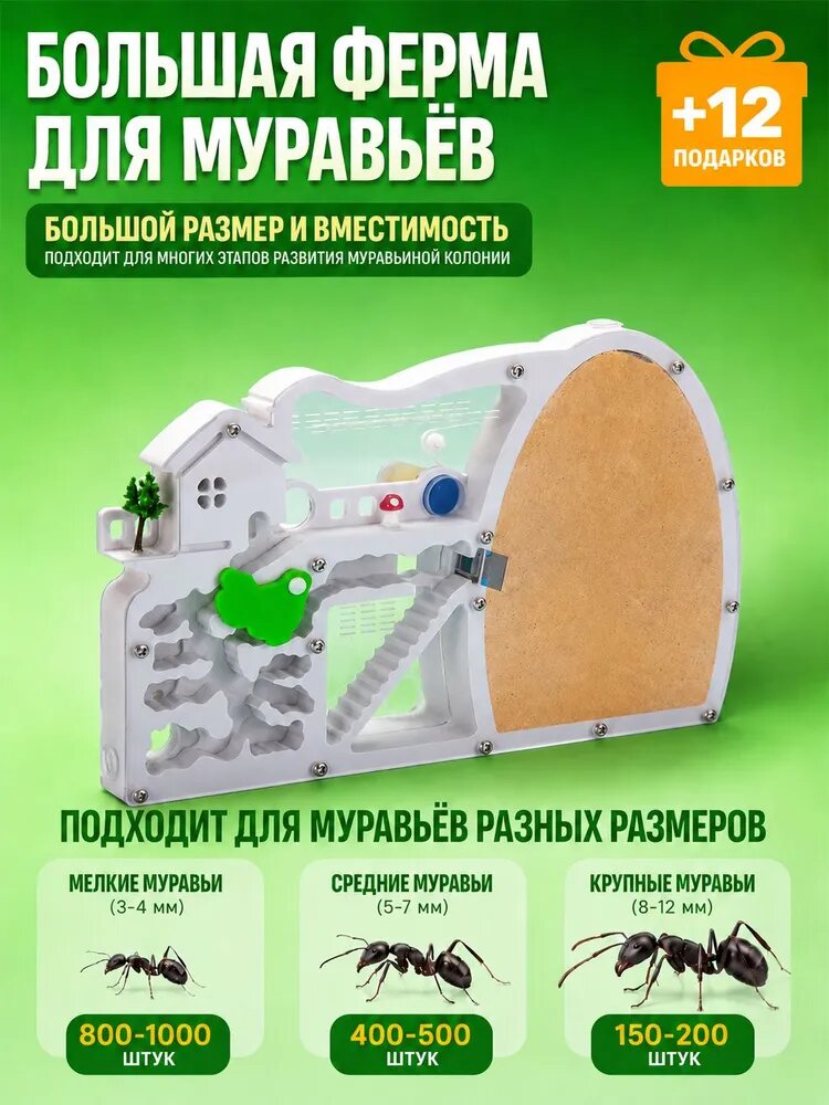 Муравьиная ферма большая, 238x45x152 мм, акриловый контейнер для муравьев