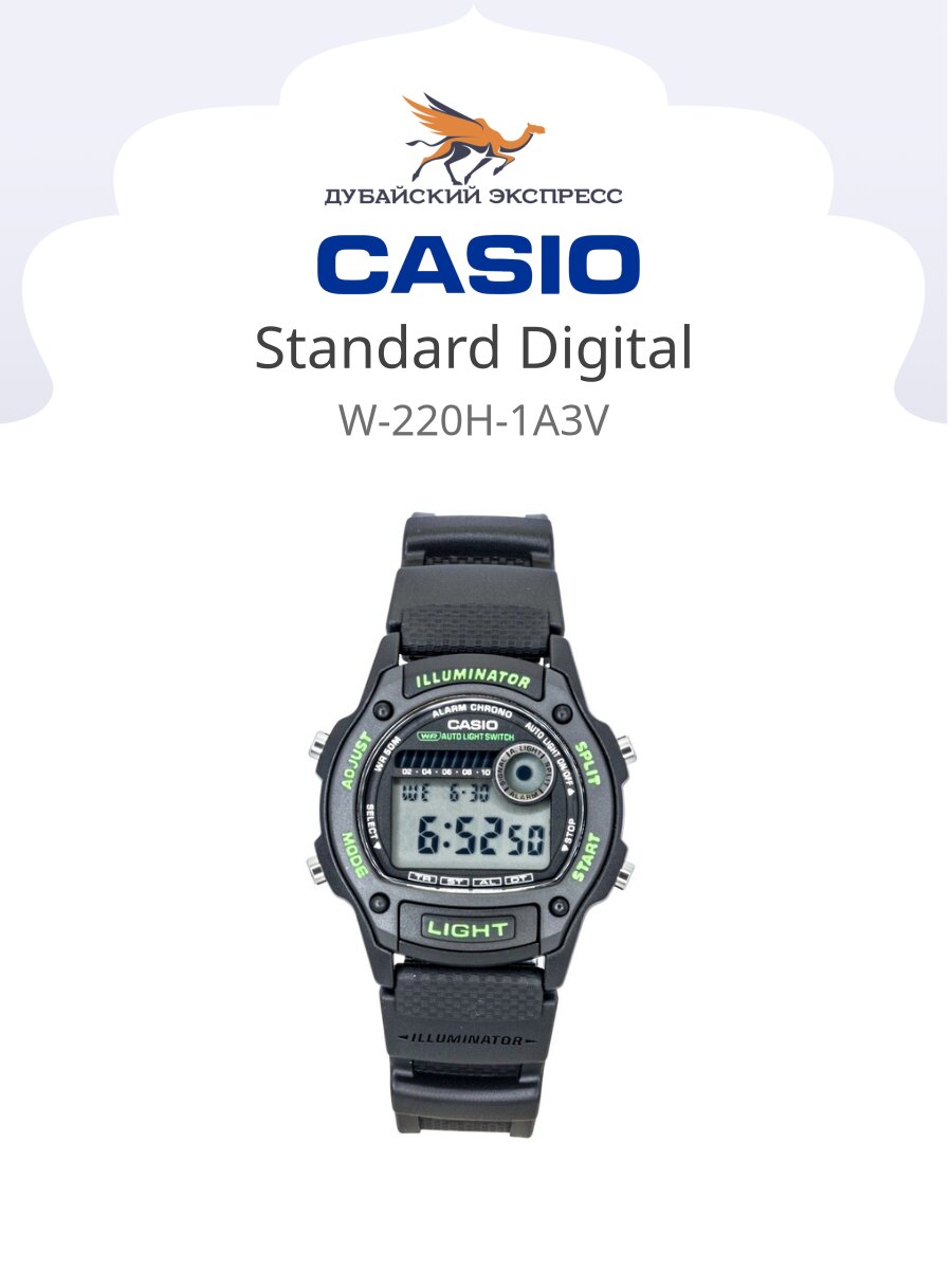  CASIO