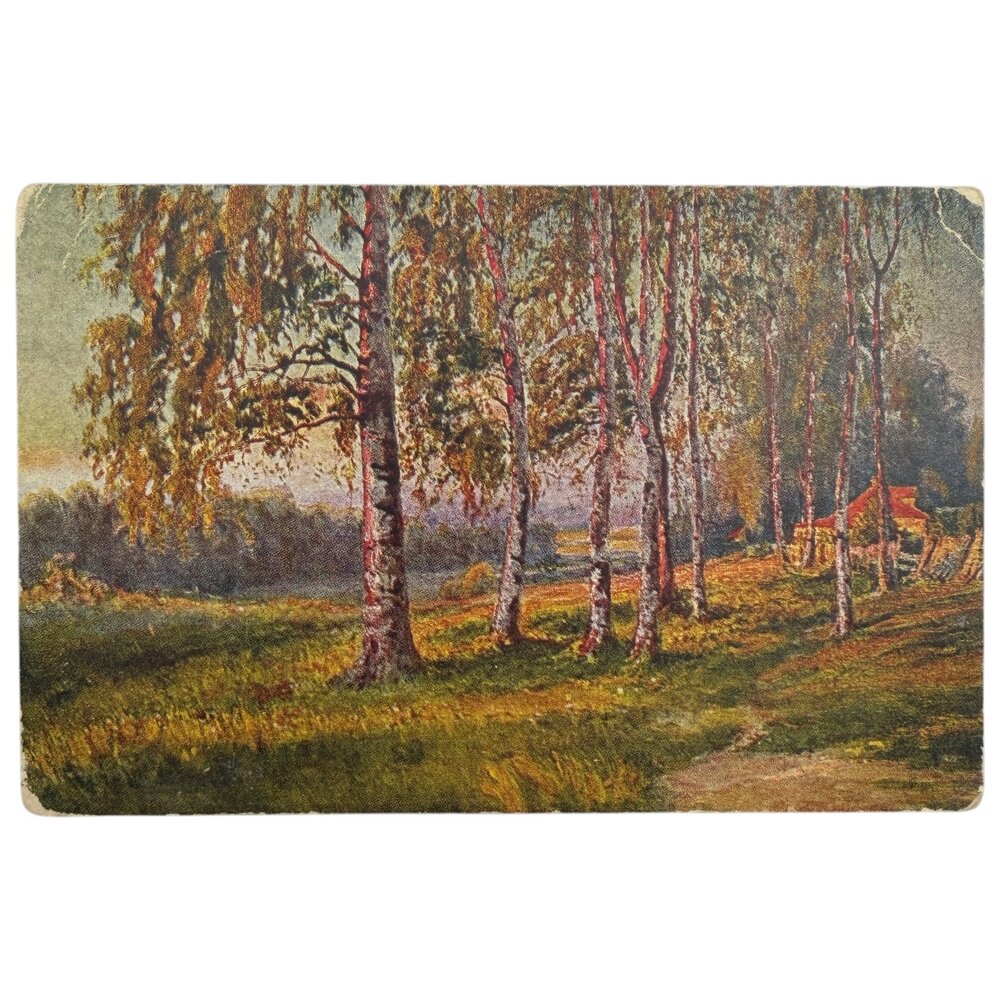 Почтовая открытка "Ризниченко - Закат в березовой роще" 1916 г. Российская Империя