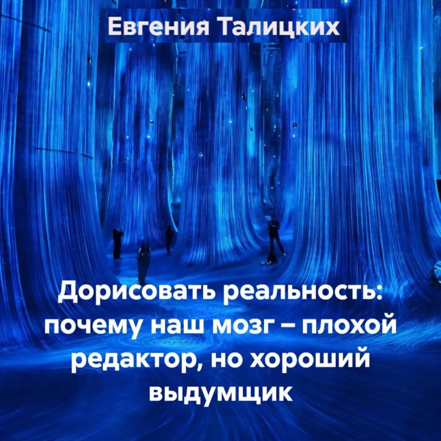 Дорисовать реальность: почему наш мозг – плохой редактор, но хороший выдумщик [Аудиокнига]