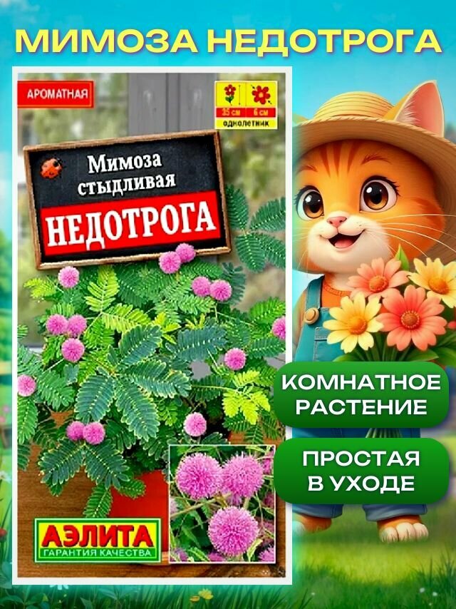 Семена цветов комнатных Мимоза "Недотрога", мимоза стыдливая семена Вэлита семена мимозы комнатные цветы