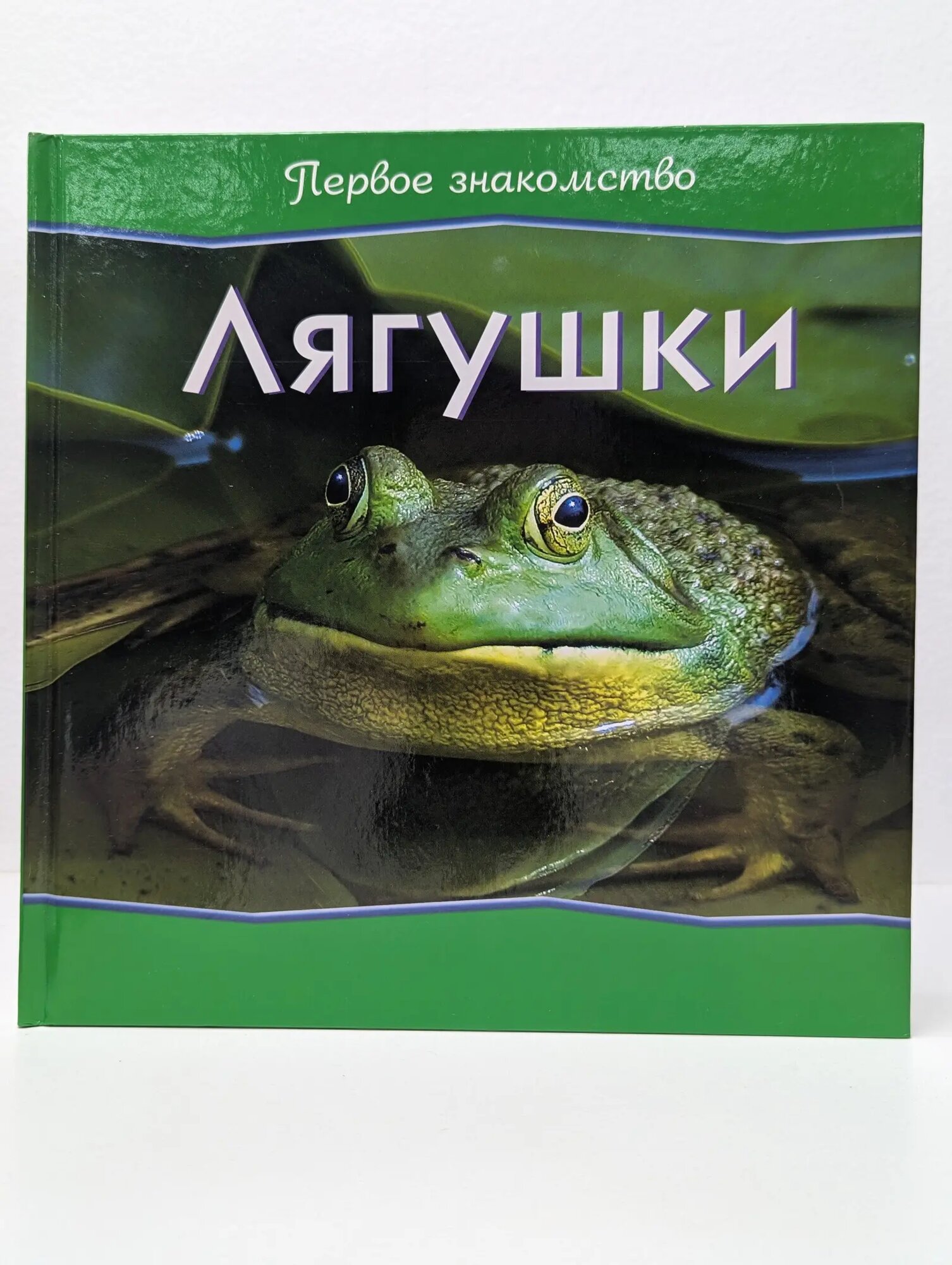 Первое знакомство. Лягушки Сборник 2008