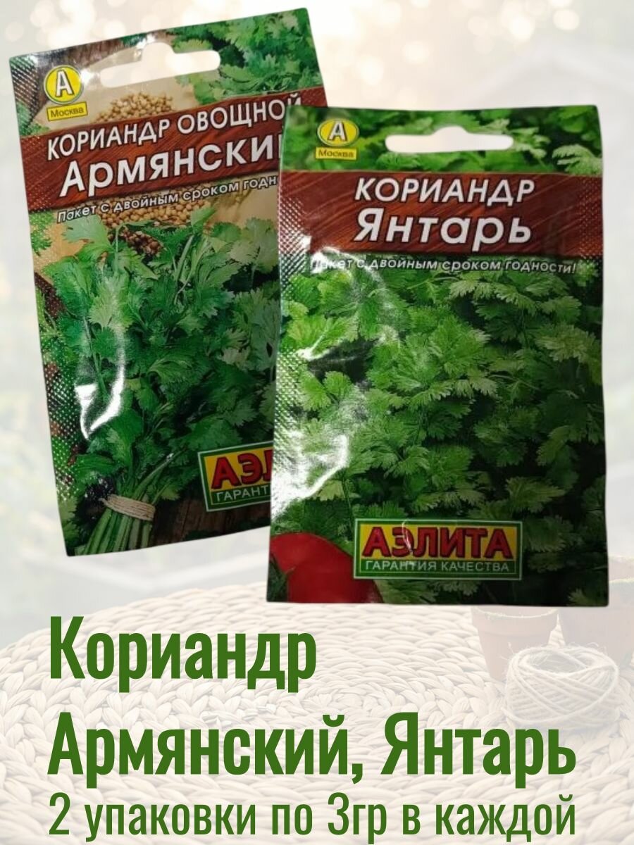 Семена кориандр Янтарь, Армянский 2 упаковки для посадки пряность