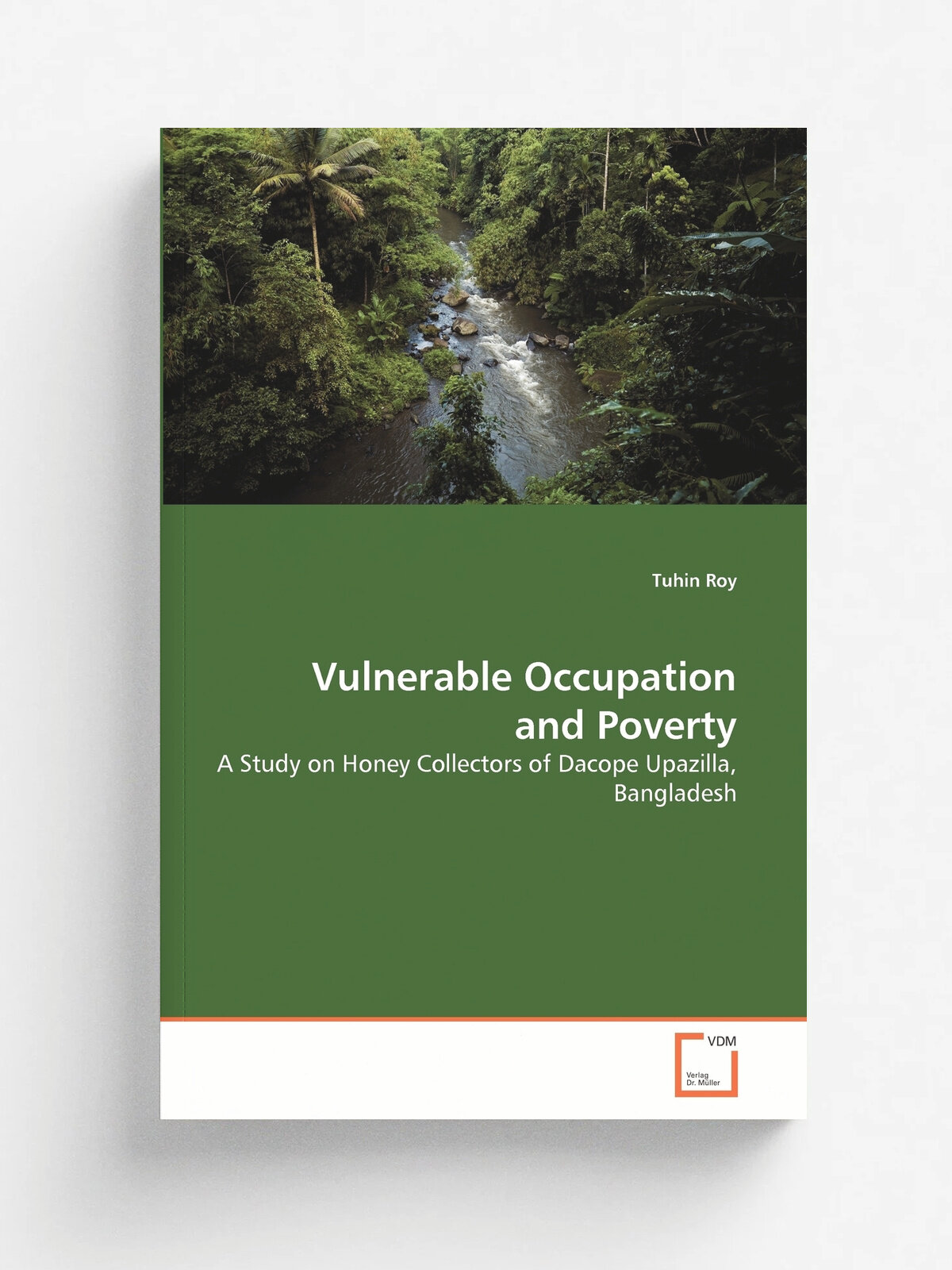 Vulnerable Occupation and Poverty