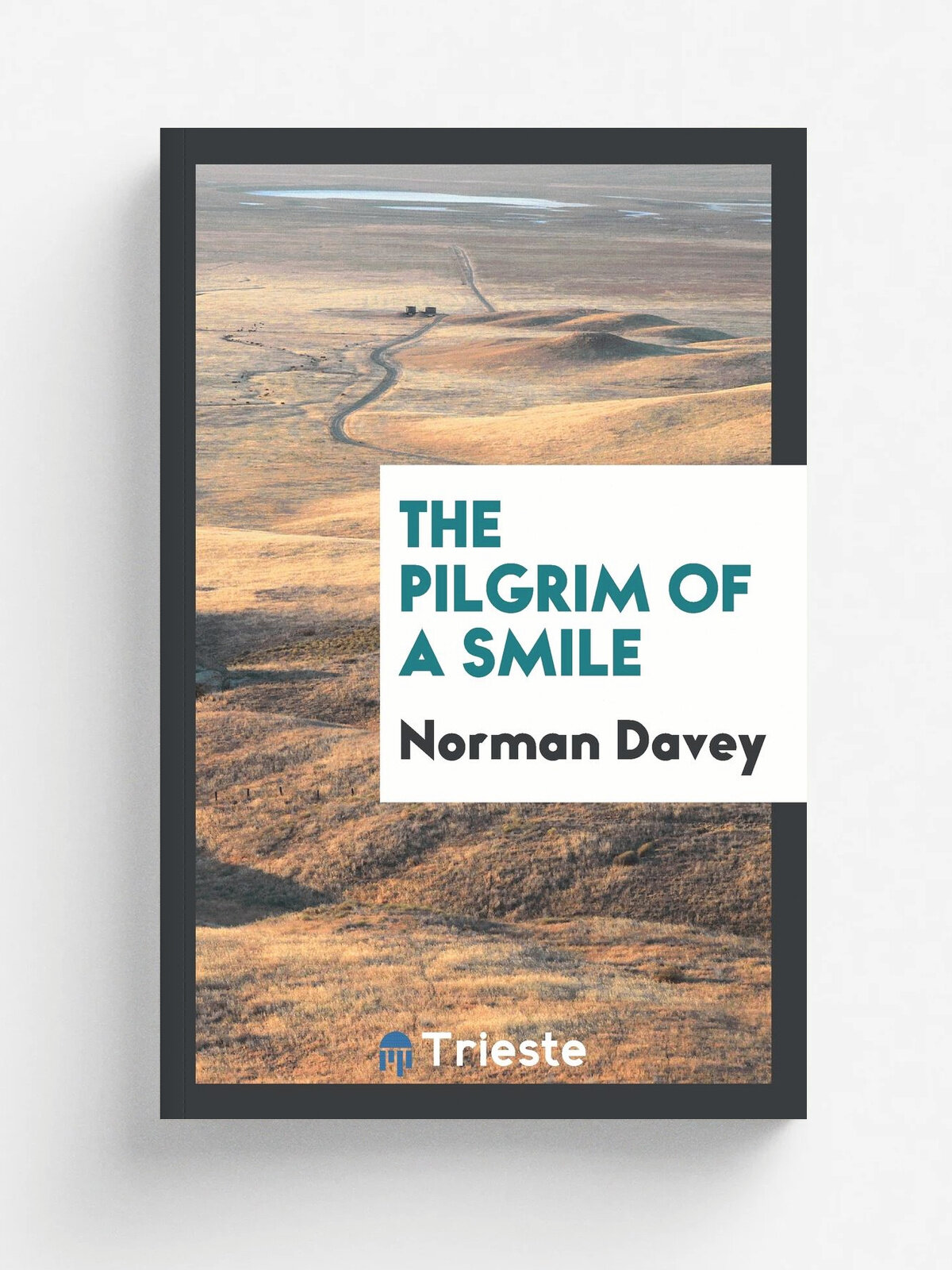 The pilgrim of a smile