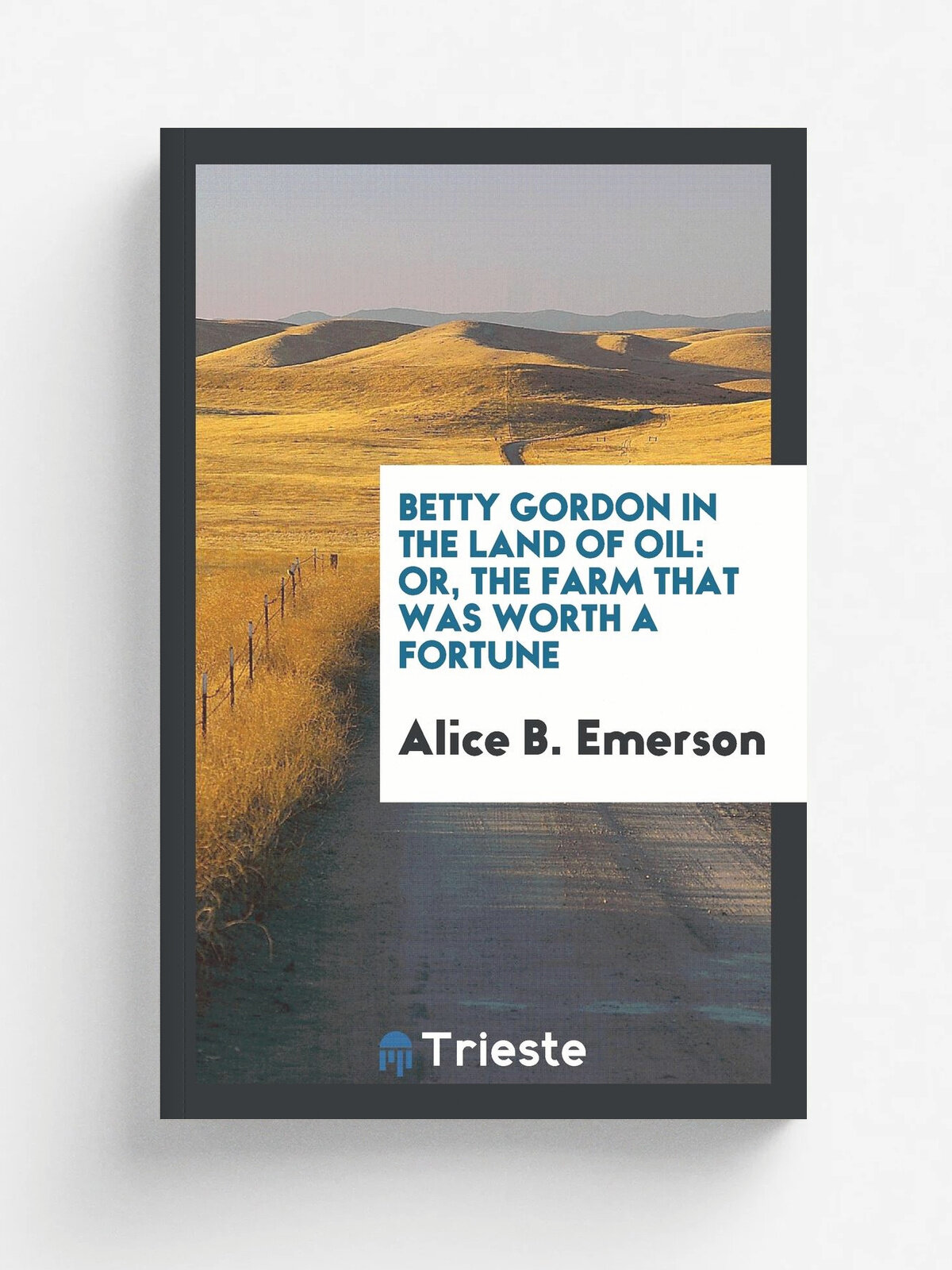 Betty Gordon in the land of oil. or, The farm that was worth a fortune