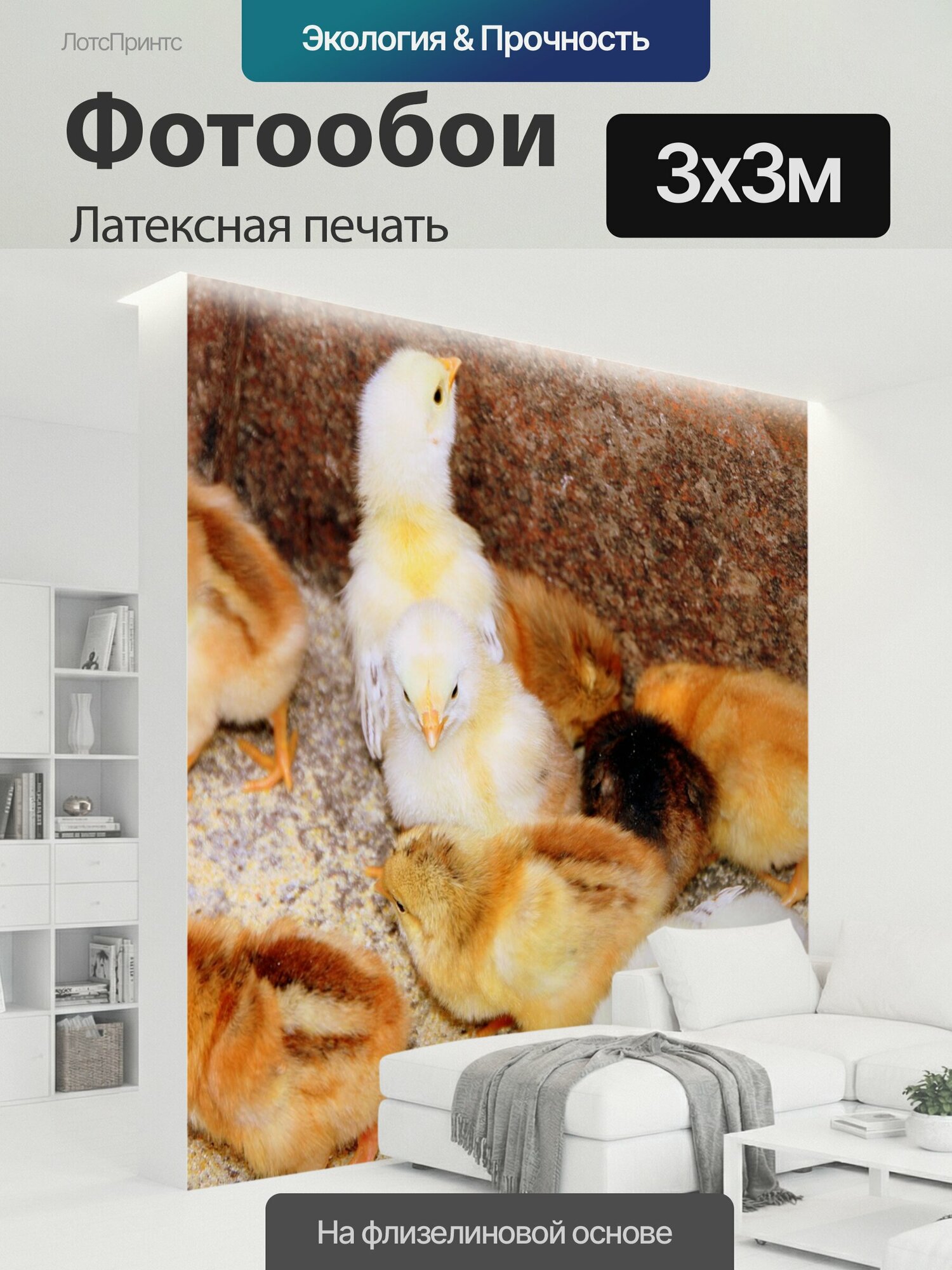 Фотообои моющиеся ударопрочные "Курица, цыплята, кормление" 300x300 см. латексная печать