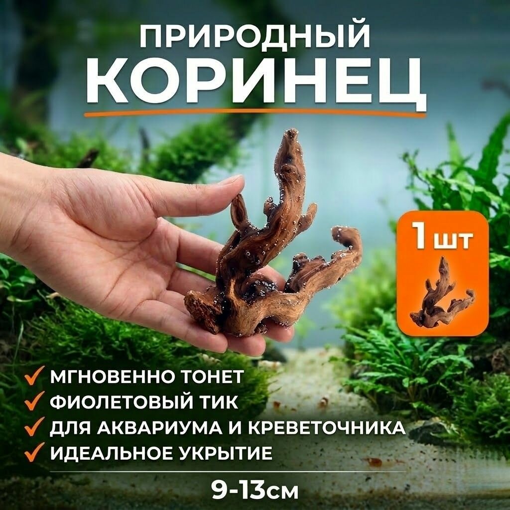 Натуральное коряги Фиолетовая тиковая коряга, подходящая для аквариумов и террариумов, 9 13 см, 1 штука. для аквариума для террариума натуральная коряга