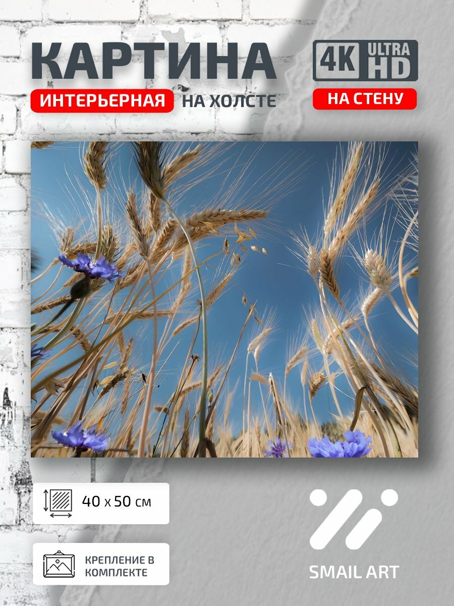 Картина на холсте интерьерная 40 на 50 на стену Небо Landscape для спальни пейзаж интерьер