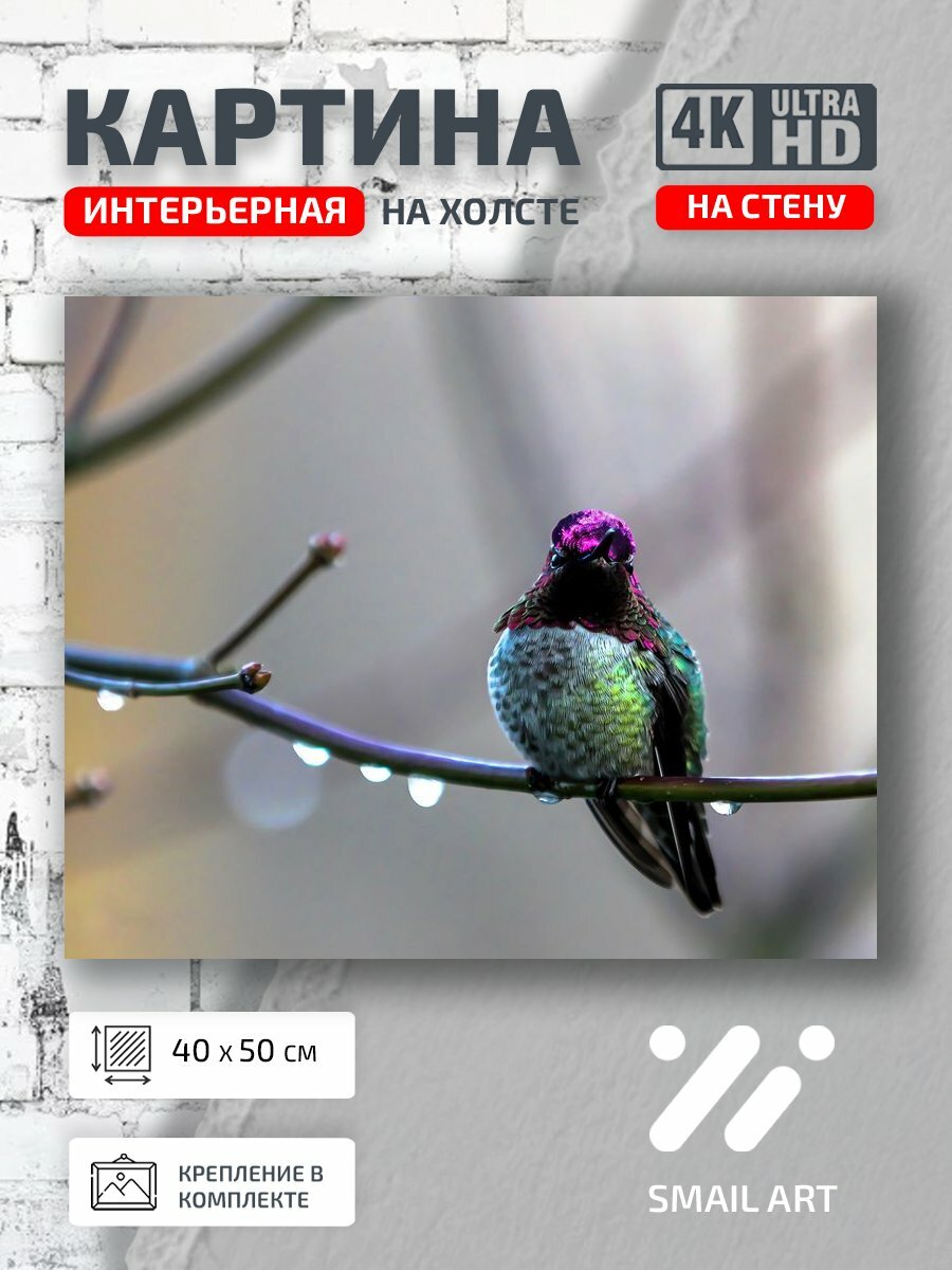 Картина на холсте интерьерная 40 на 50 на стену Колибри Landscape для гостиной пейзаж декор