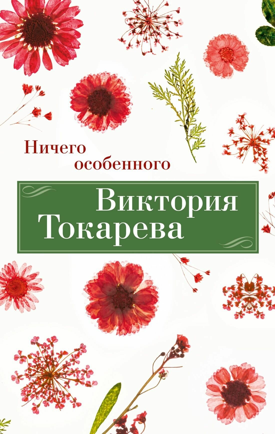 Книга "Ничего особенного (мягк/обл.)"