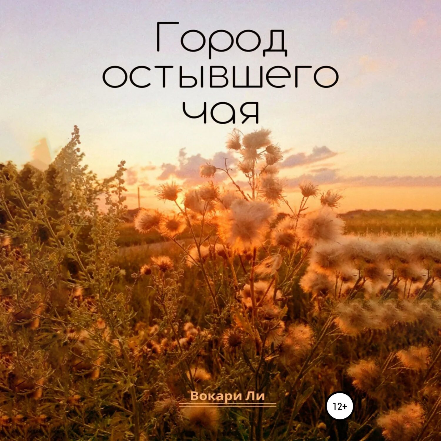 Город остывшего чая [Аудиокнига]