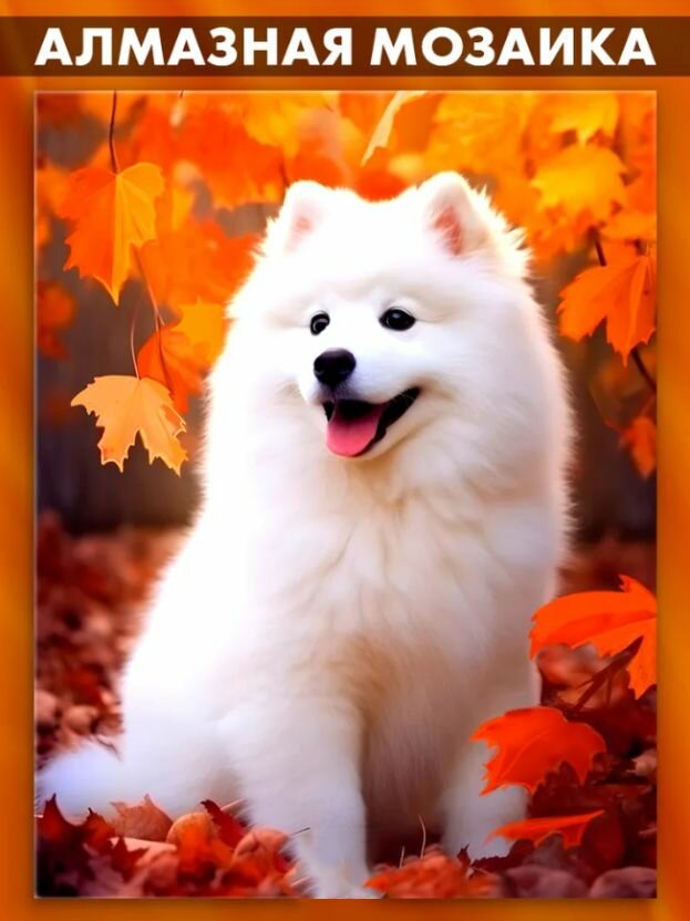 Алмазная мозаика 30х40 "Собачка" / картина алмазная стразами/Без рамки для картины