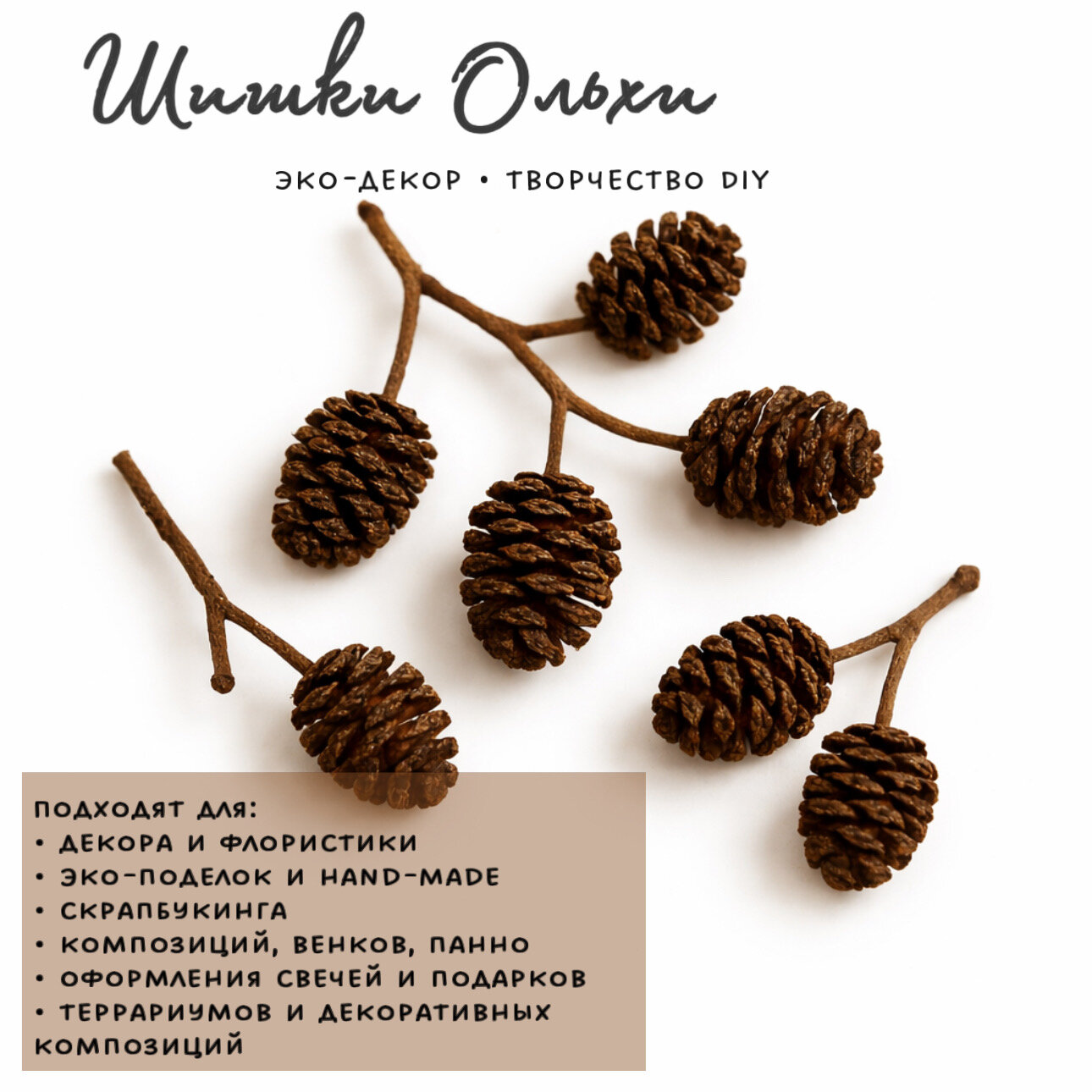 Шишки ольхи MyEcoMix, натуральные, 2г, для декора, эко-продукт