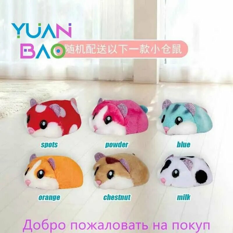 Случайный хомячок