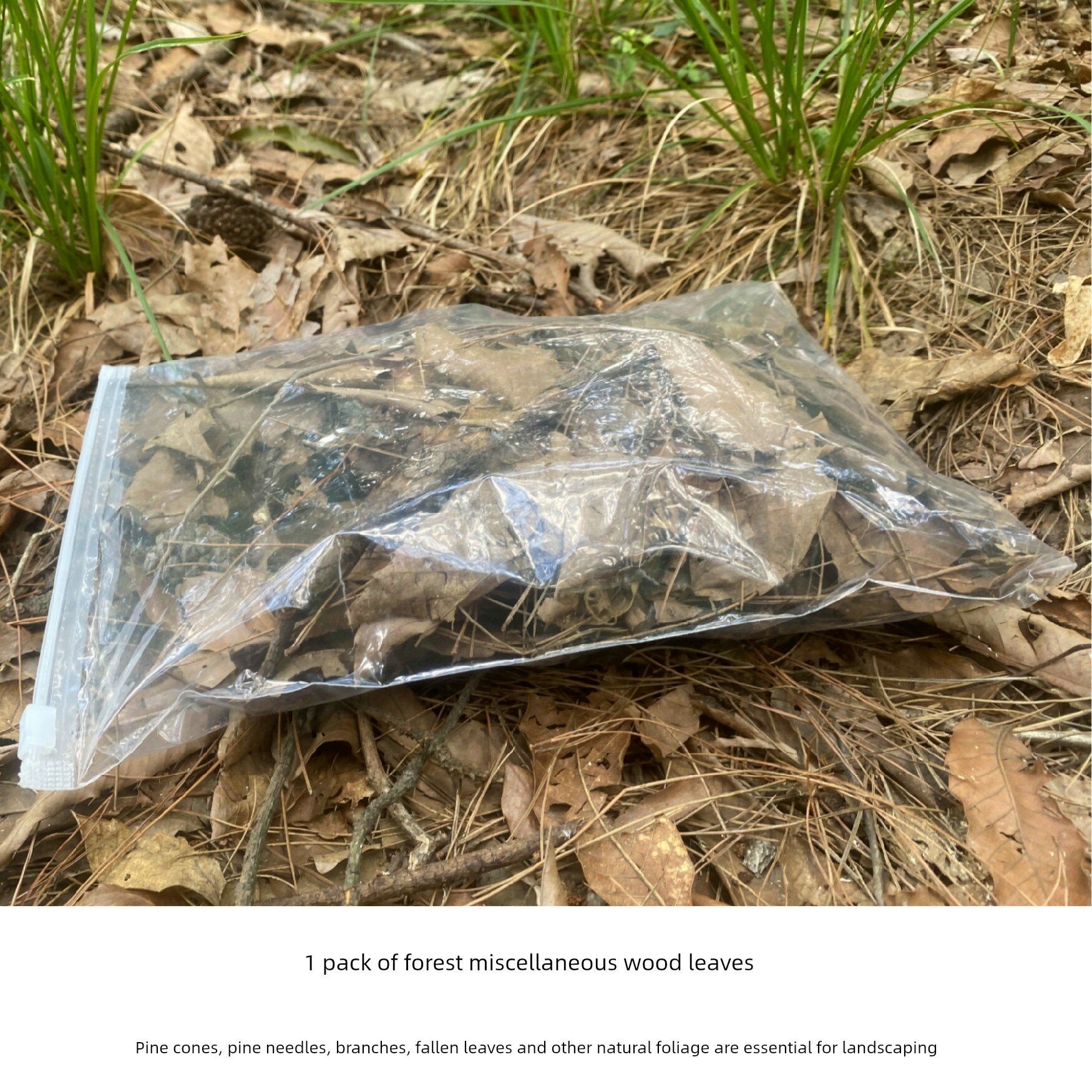 Резьба по разложенной древесине для ландшафтного дизайна террариума для рептилий, состаренная древесина для декора