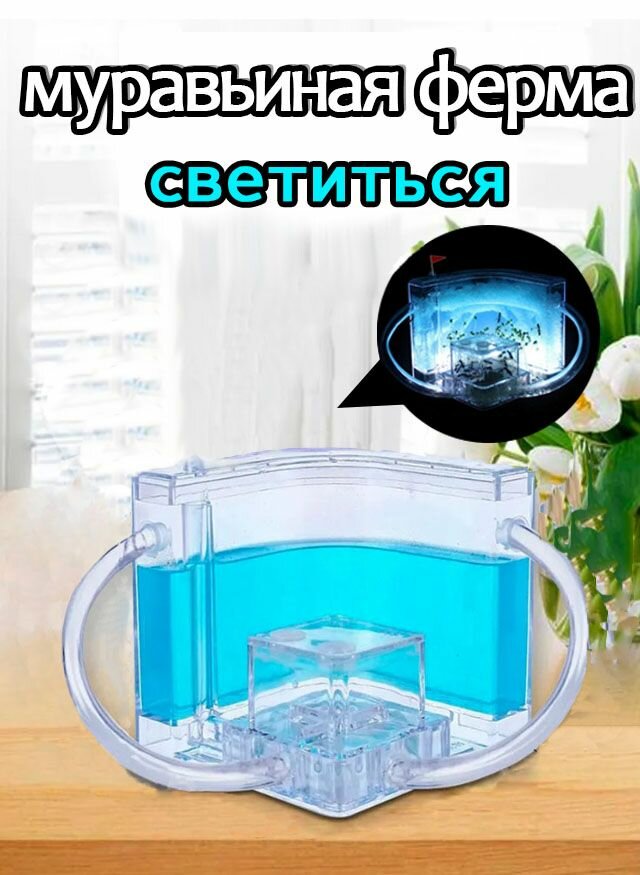 Муравьиная ферма