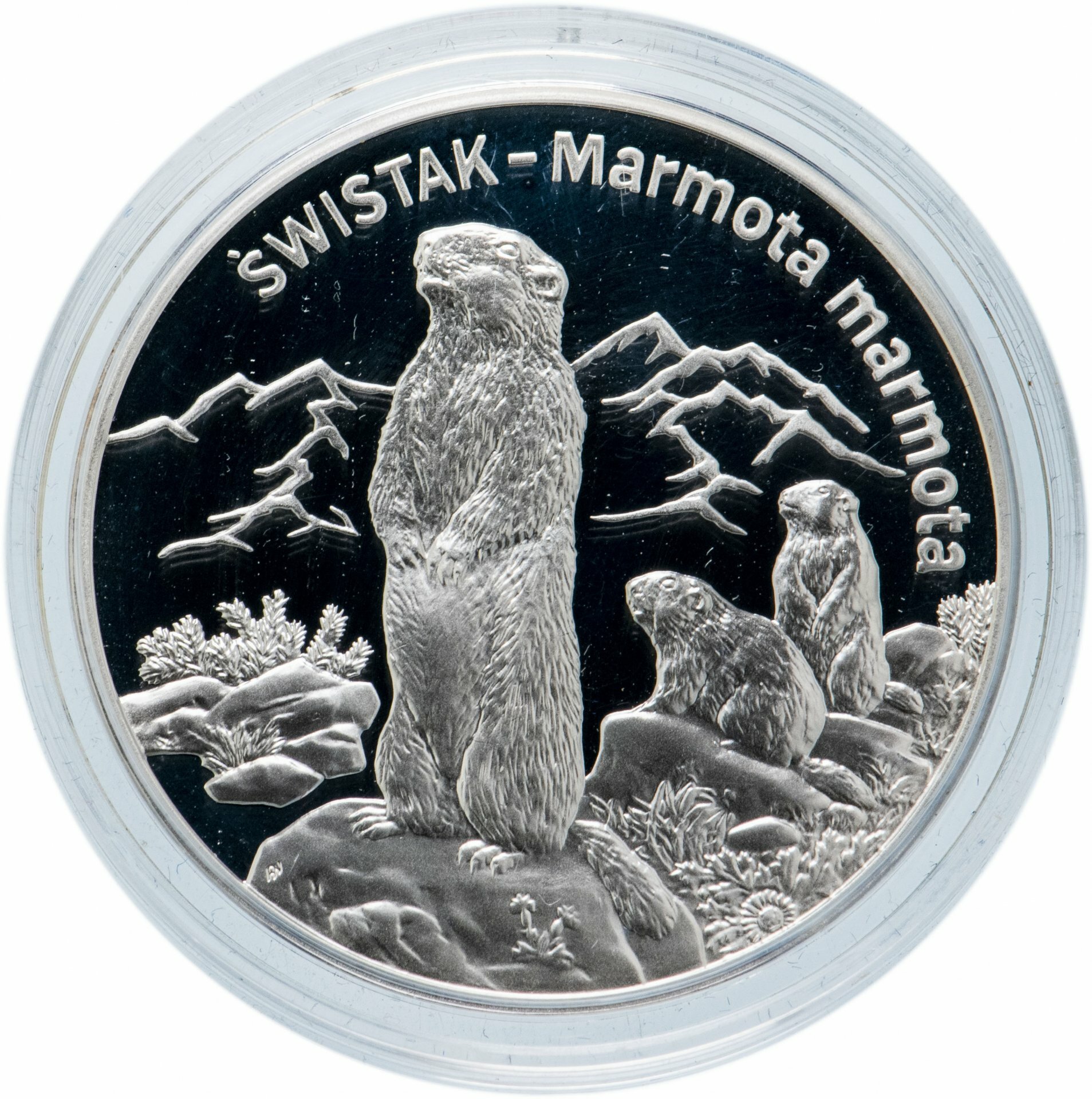 Польша 20 злотых 2006 Proof "Альпийский сурок Marmota Swistak", Серебро 925