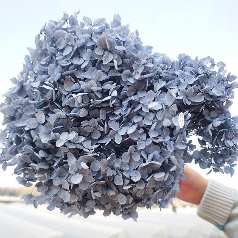 Вечная гортензия Анна, маленькие листья, цветное поглощение, отбеленный DIY цветочный материал, настоящий цветок, фабрика Юньнань, в наличии, оптовая продажа, сухой цветок