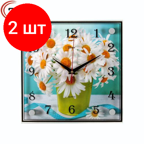 Комплект 2 шт, часы настенные 2525-769 (25Х25) букет ромашек рубин