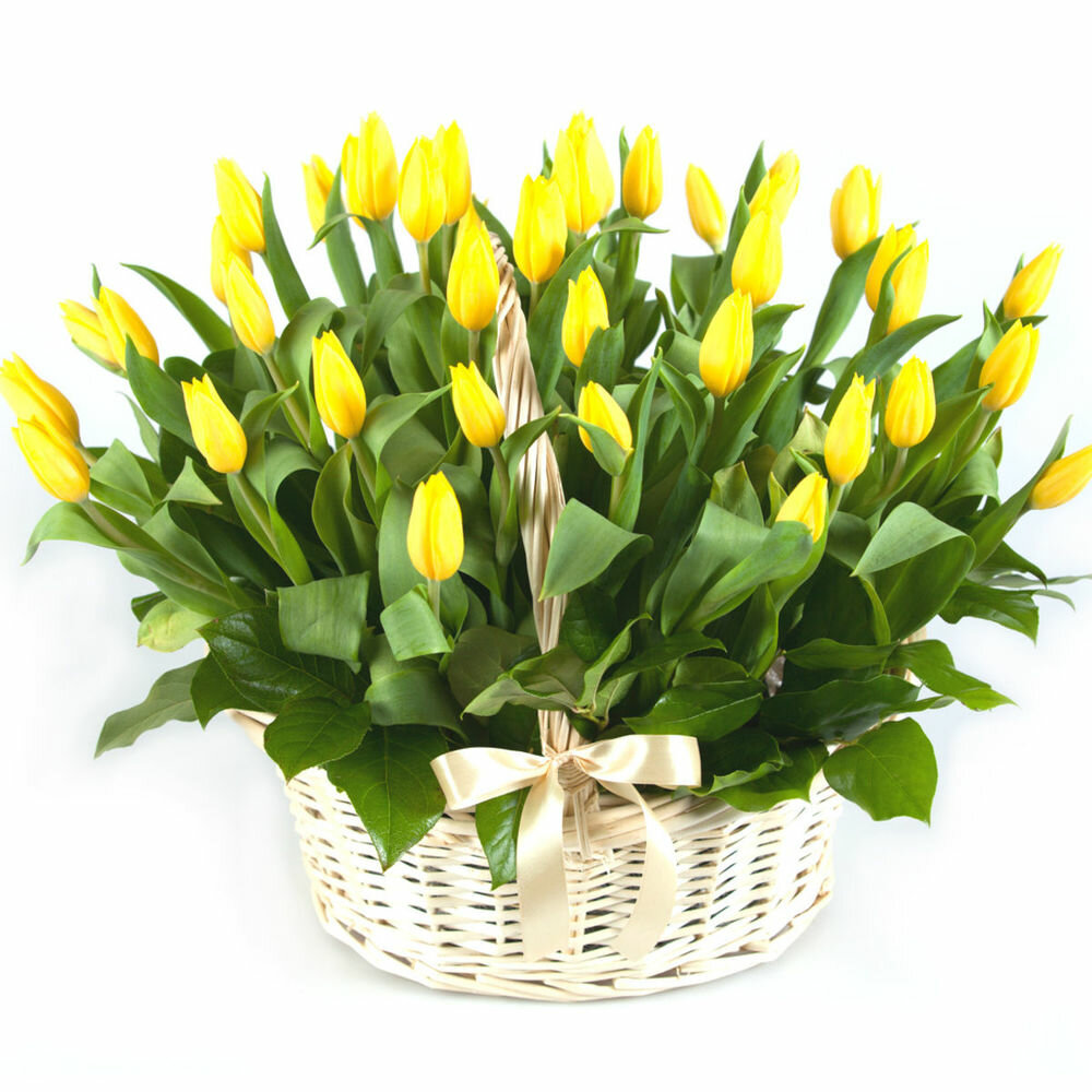 Тюльпаны/ Желтые тюльпаны в корзине 51 штука/ Тюльпаны с доставкой по Москве/ Цветы к 8 марта