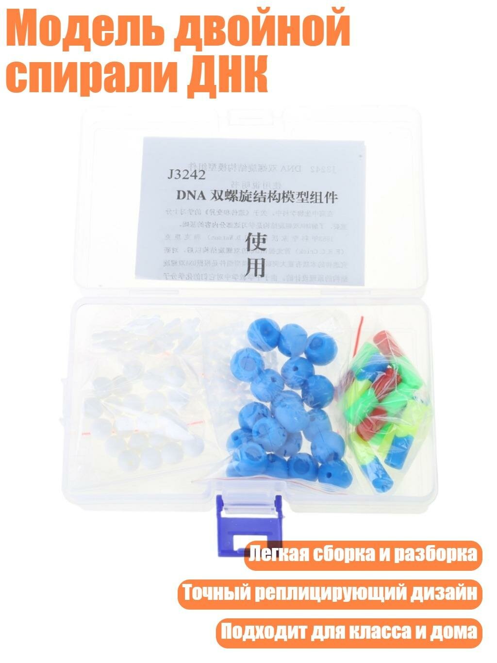 Модель двойной спирали ДНК