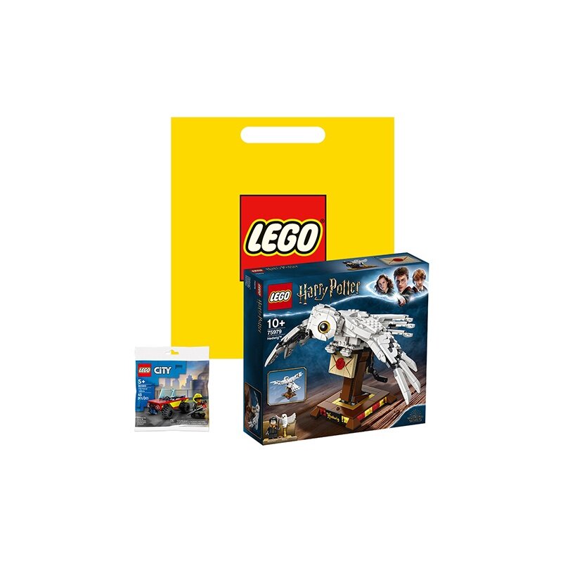 LEGO Harry Potter Collection Хедвиг Случайный стиль Пэчворк Сумка Сумка для покупок Конструкторы 0 300 шт. 75979