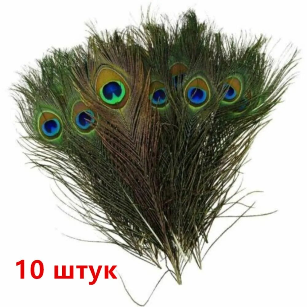 Павлиньи перья, поделки своими руками, 10 шт.