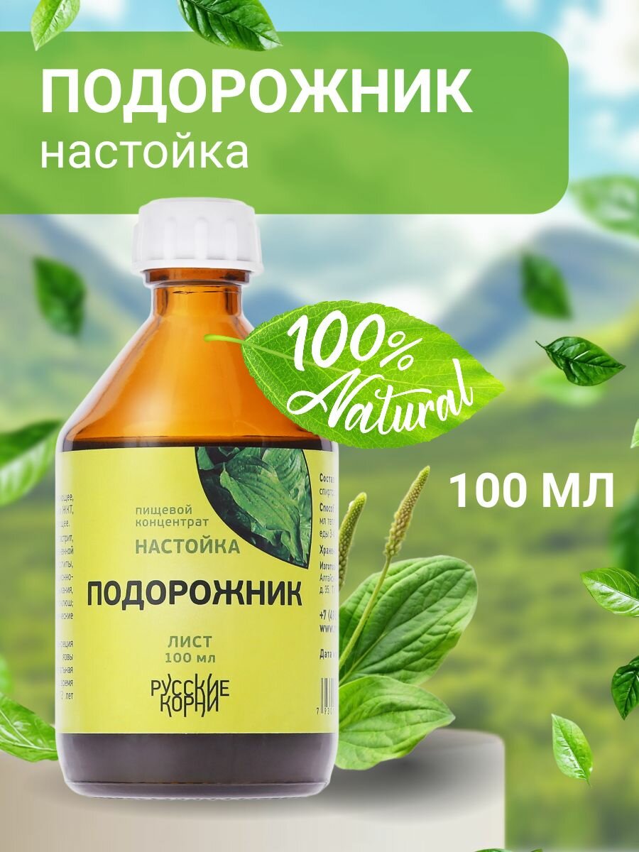 Настойка подорожника 100 мл - антисептик, от кашля, для иммунитета / Русские Корни