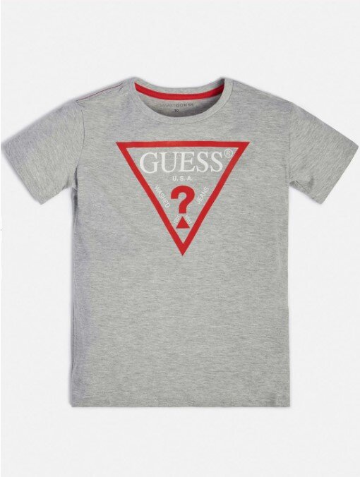 Футболка SS T-Shirt_Core