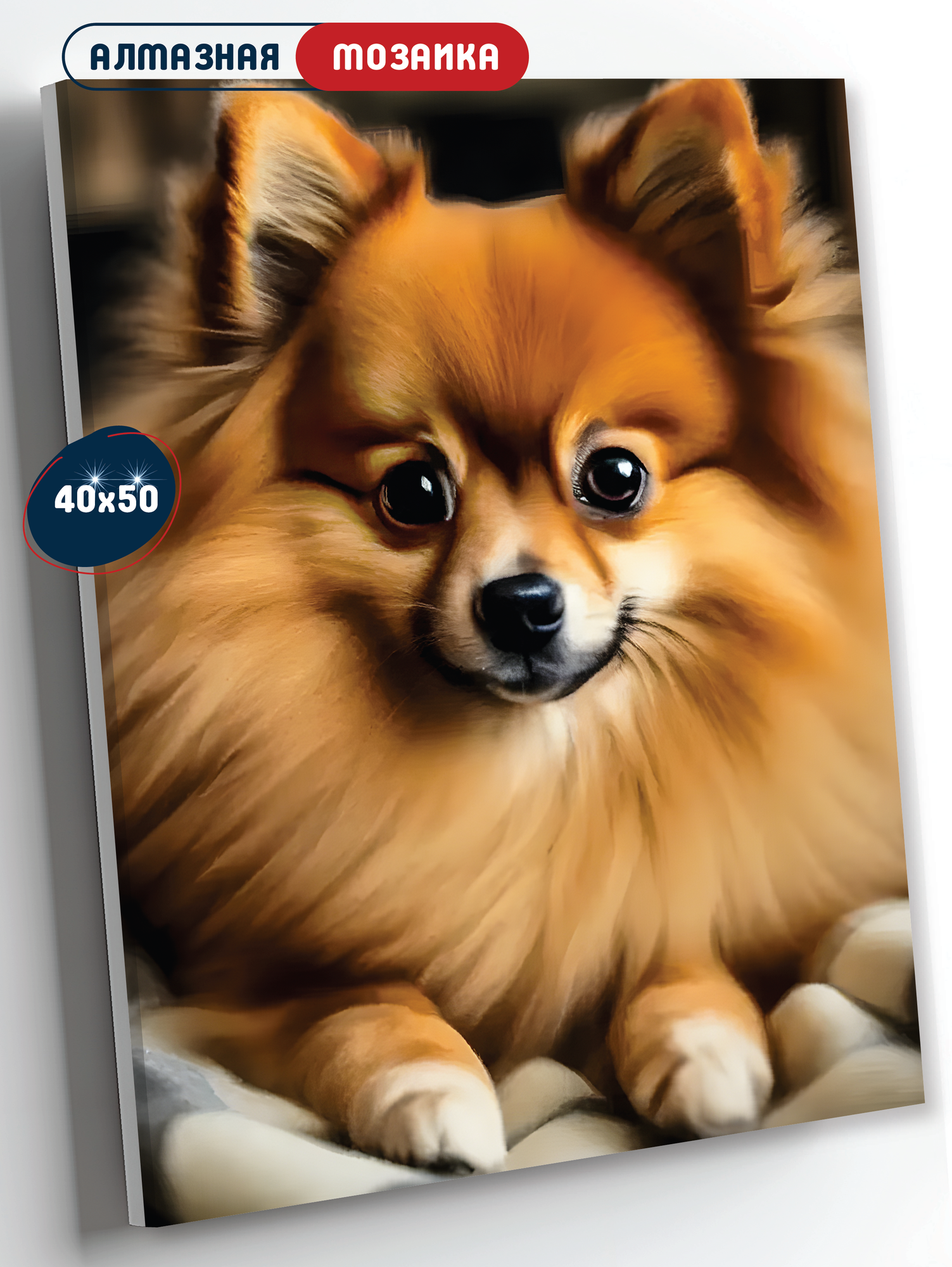 Алмазная мозаика 40х50 на подрамнике картина стразами алмазная вышивка шпиц