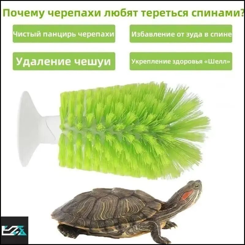 Эксклюзивная скребница для безупречного ухода за панцирем вашей черепахи, этот зелёный аксессуар с вакуумными присосками создан из экологичных материалов