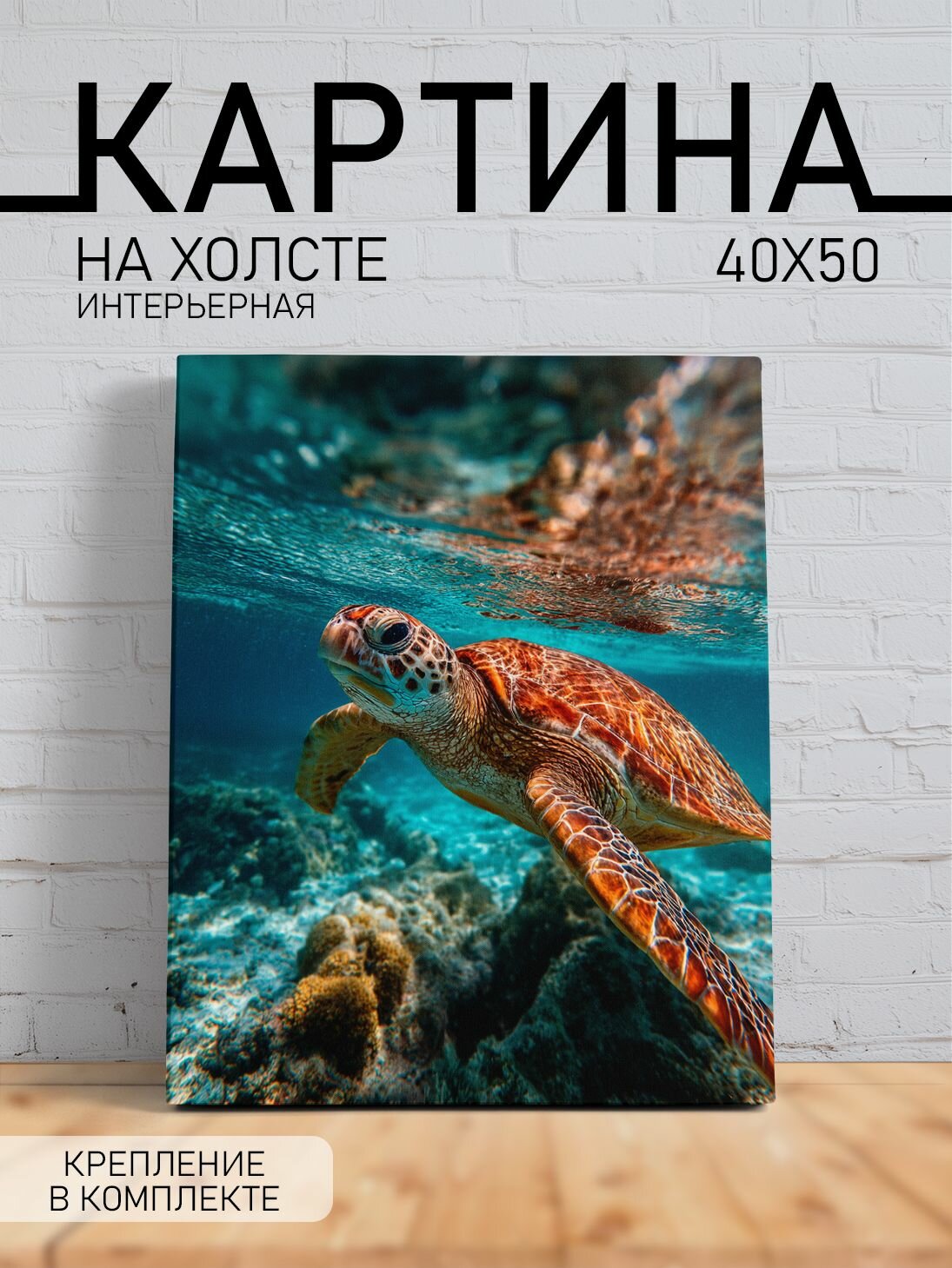 Картина на стену для интерьера на холсте с подрамником "Черепаха", 40х50 см