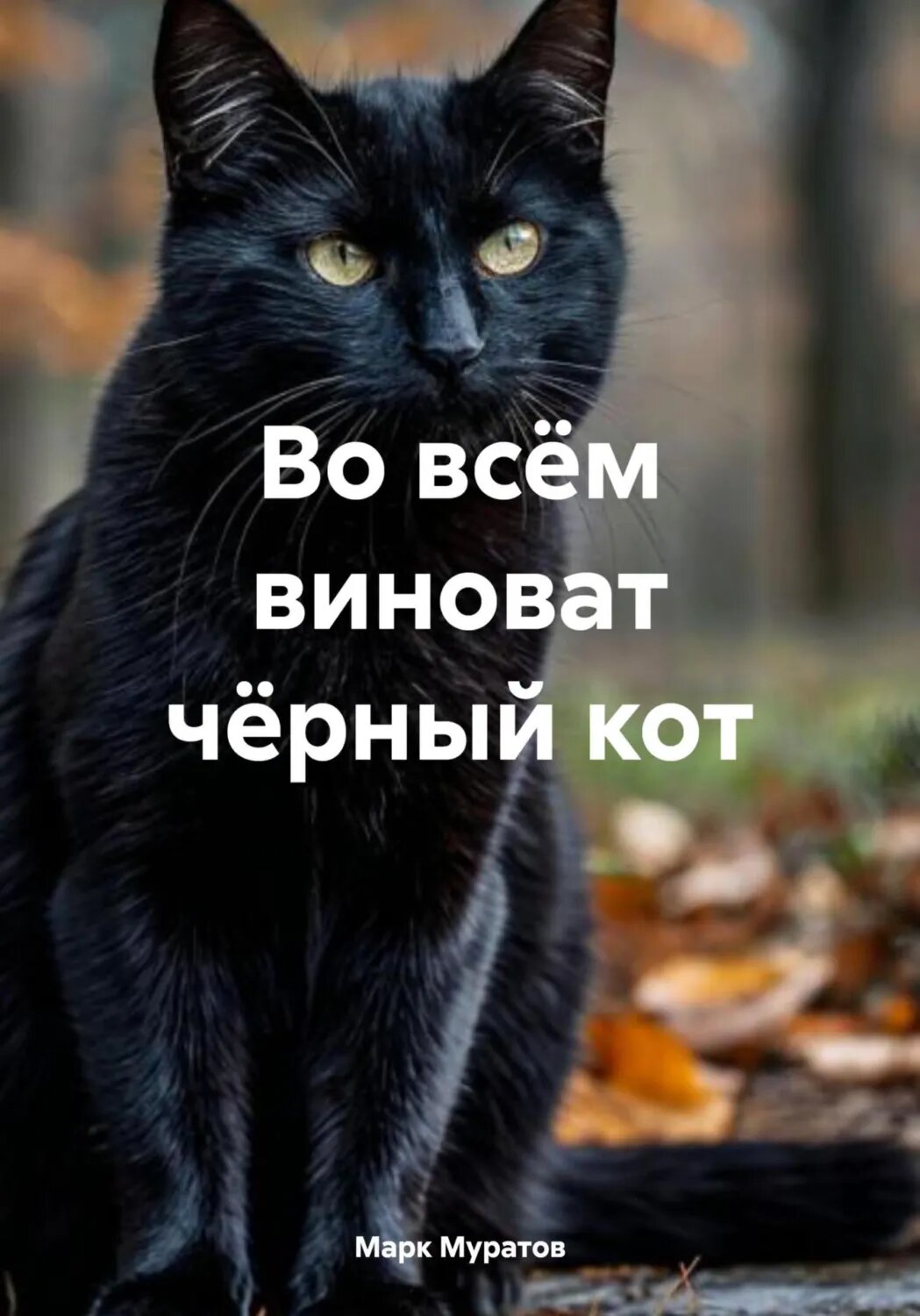 Во всём виноват чёрный кот [Цифровая книга]