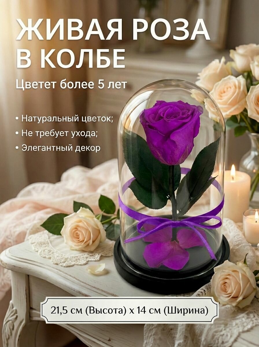Стабилизированные цветы в стекле, Роза в колбе живая Glamur фиолетовый, GIFT4YOU