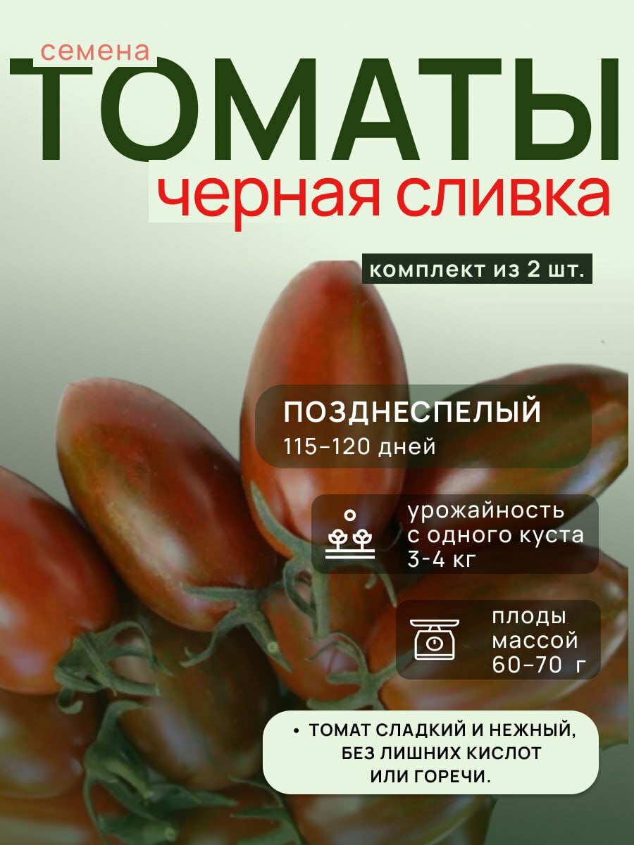 Семена томатов сорт "Черная сливка", хладостойкий, сладкий сорт, 2 пачки