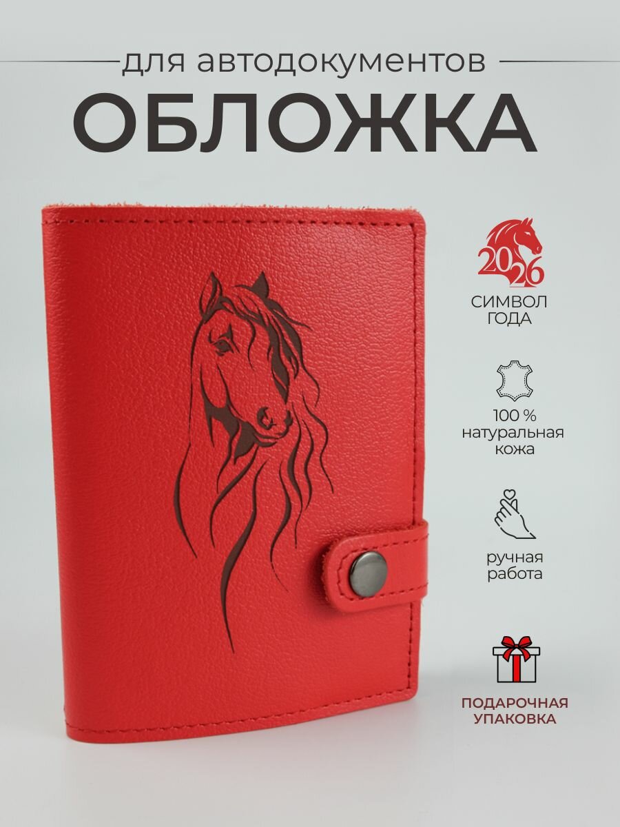 Обложка для автодокументов