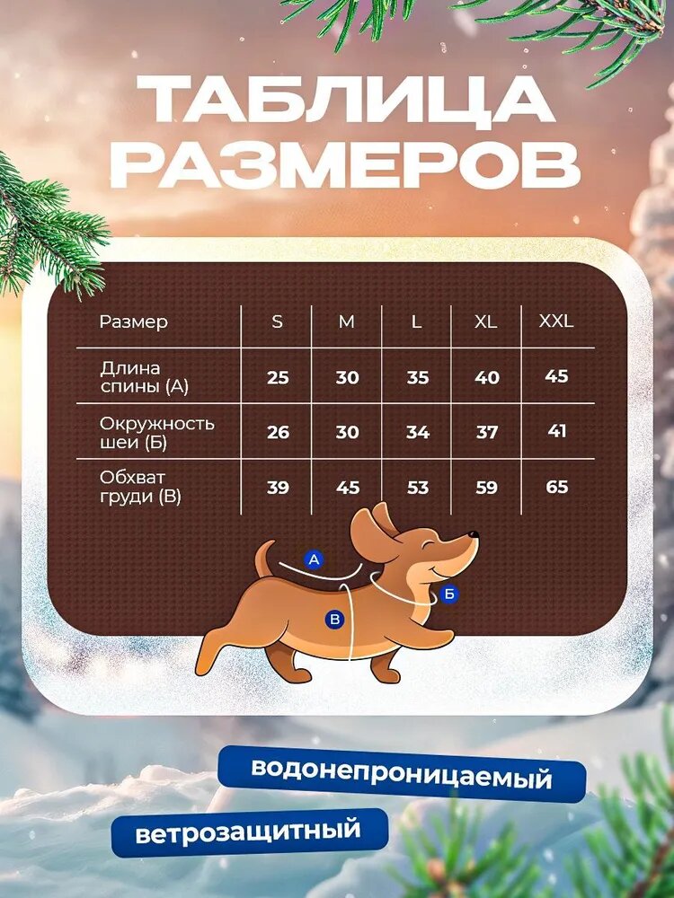 Одежда для животных — фото 1