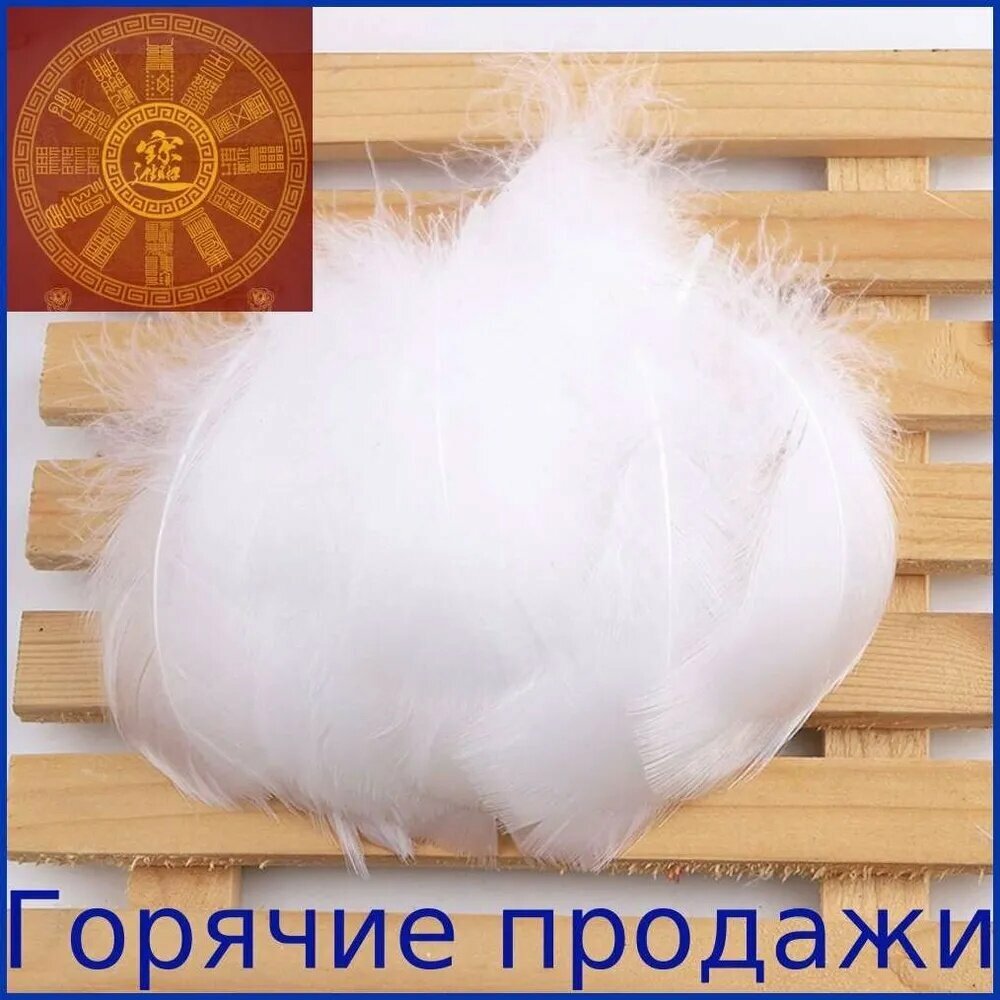 100 шт. Гусиные перья