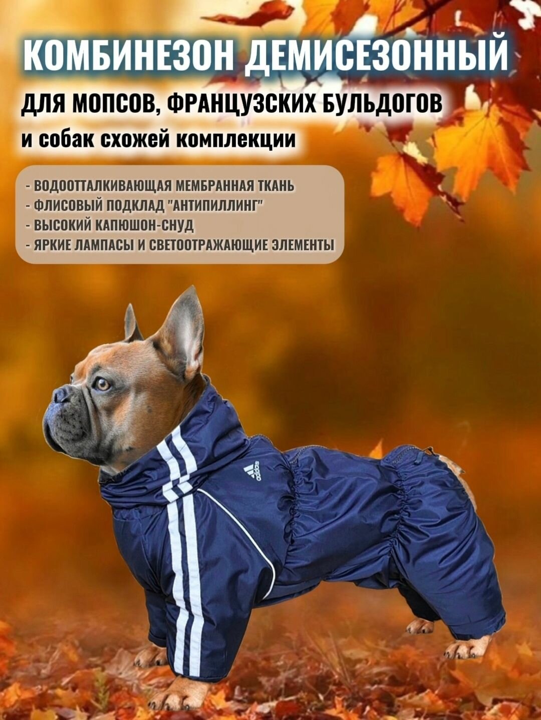 Комбинезон демисезонный для французских бульдогов и пород схожей комплекции, темно-синий, ФР-2