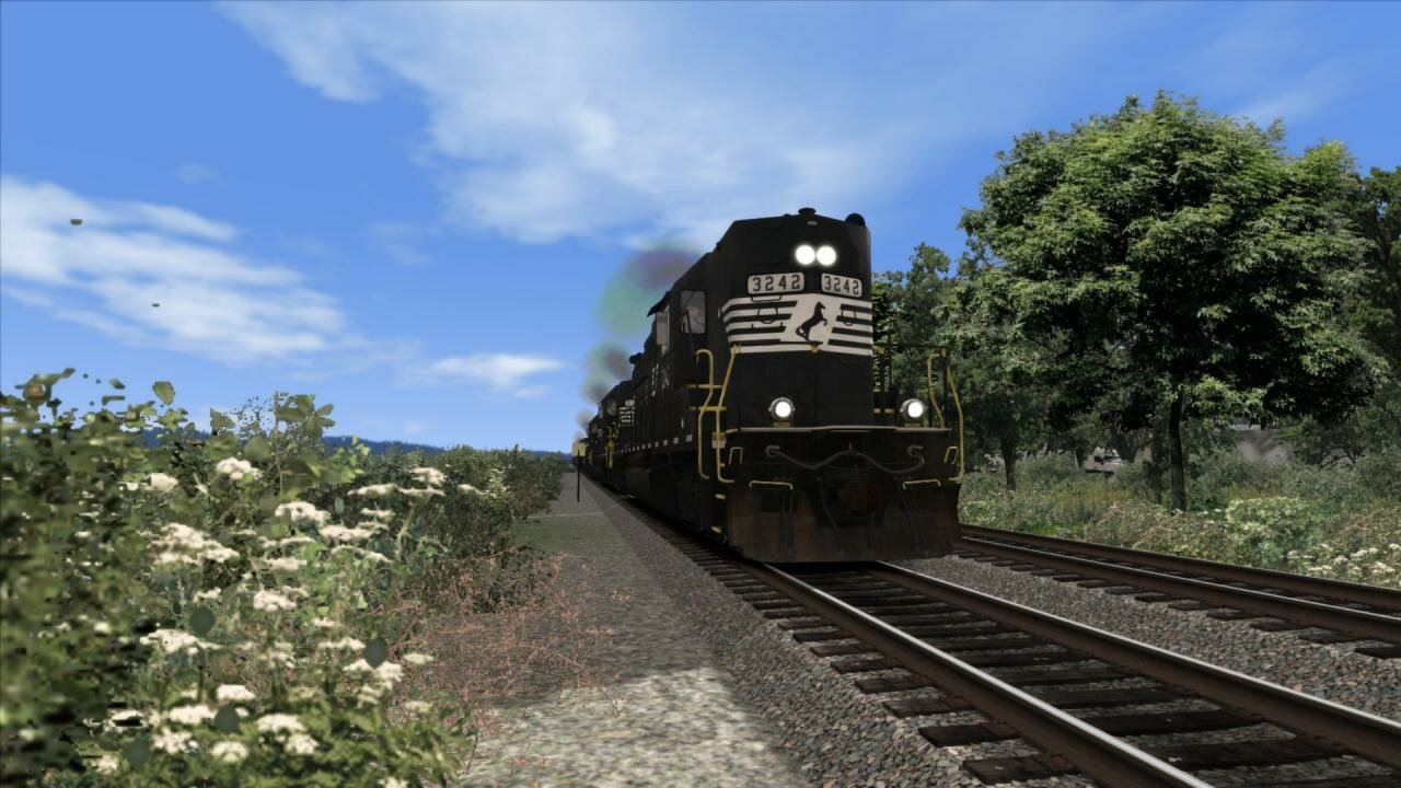 Train Simulator - Norfolk Southern SD40-2 High Nose Loco Add-On DLC Steam Ключ