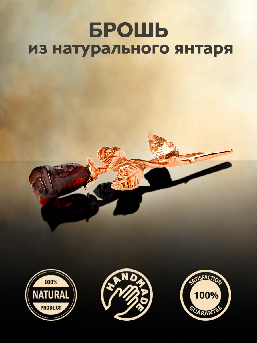 Брошь, янтарь