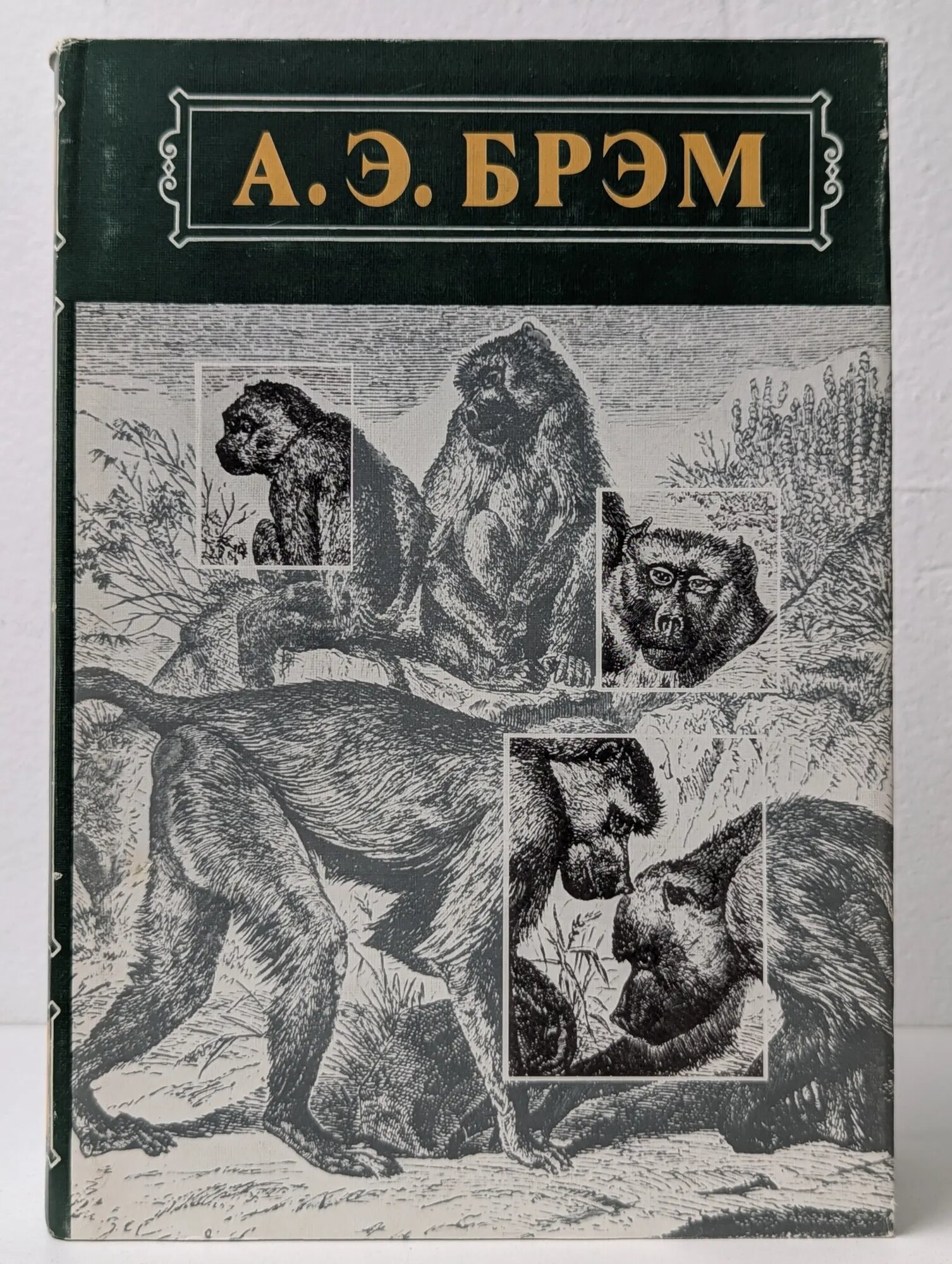 Жизнь животных. В 3 томах. Том 1. Млекопитающие Брем Альфред Эдмунд 1992
