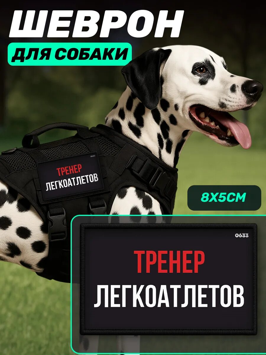 Шеврон на липучке для собак Тренер легкоатлетов