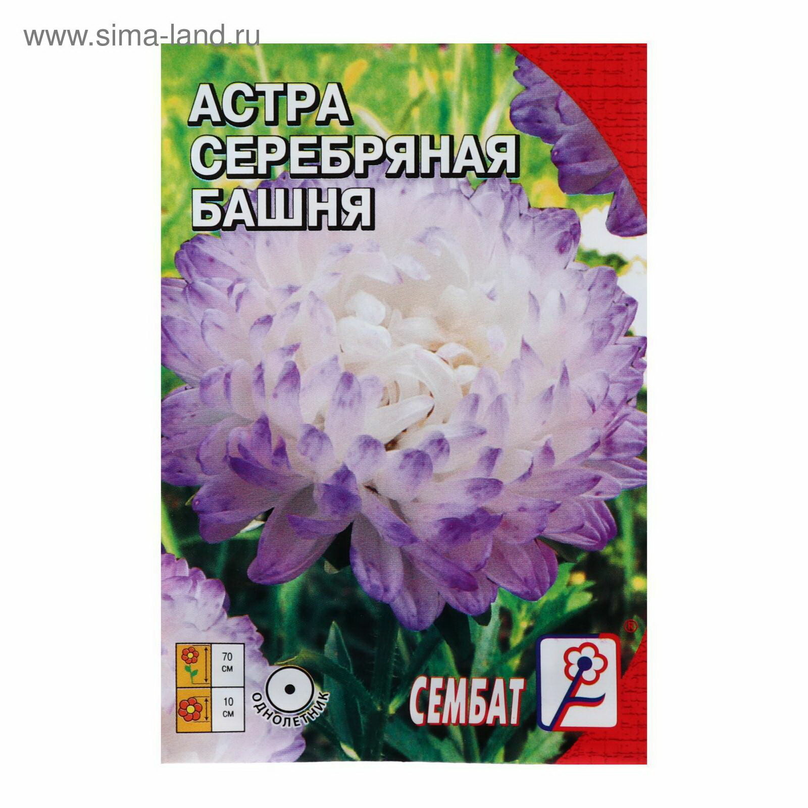 Семена Цветов Астра пионовидная "Серебряная башня", 0.2 г, по форме куста: ампельная, 3 шт.