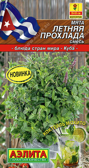 Мята Летняя прохлада, смесь