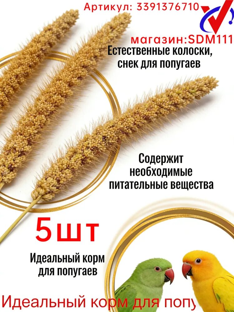 Чумиза для попугаев 5 шт. сенегальское просо лакомство игрушка для птиц и грызунов , урожай 2025 года - копошилка бренд от производителя