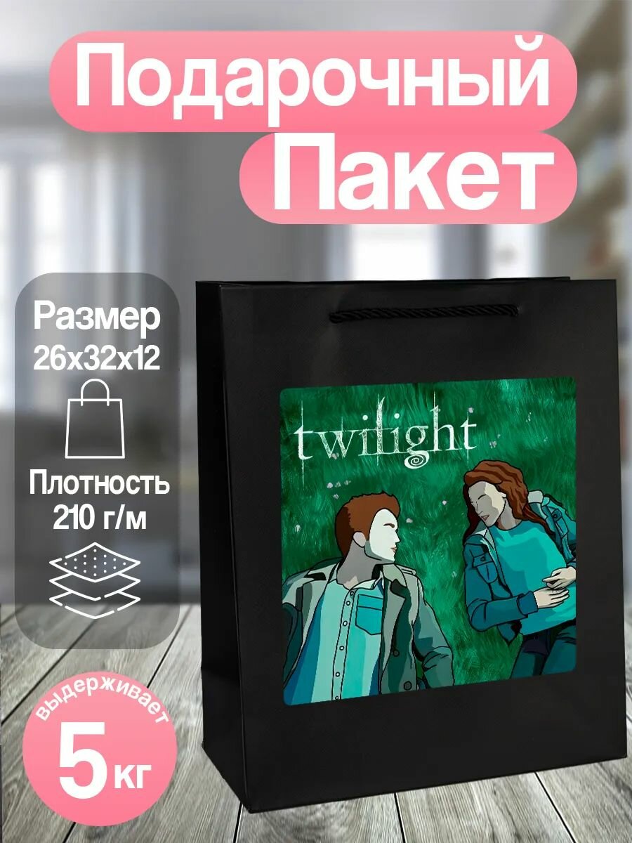 Пакет подарочный Сумерки, упаковка для подарка, 26х31 см